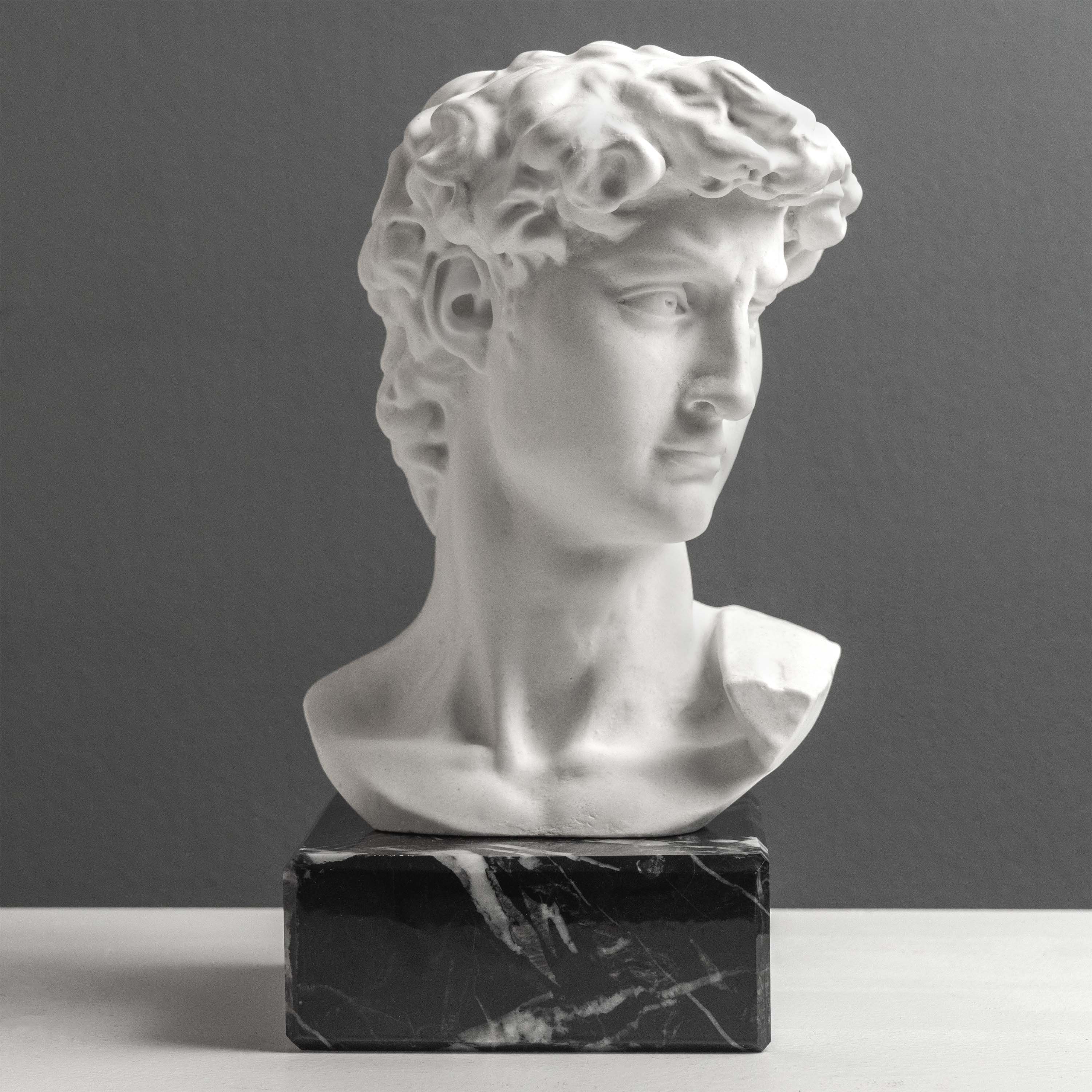 David Bust By Michelangelo on Black Marble Base (Small) – The Ancient Home