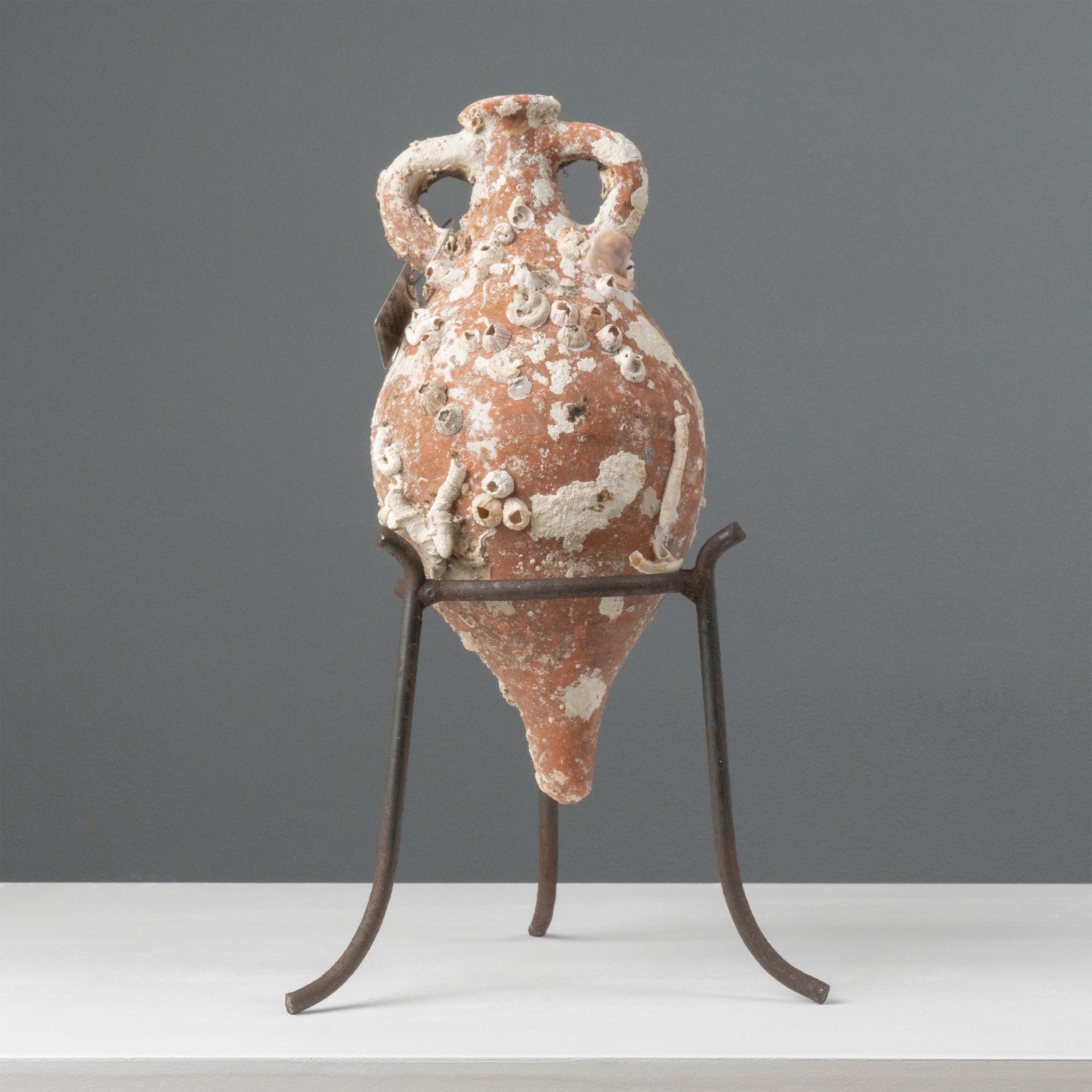 Rhodes Sea Amphora maritime style sea shell decor Roman terracotta ...