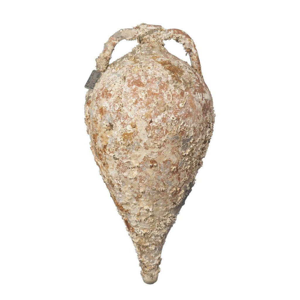 Almagro' Ancient Sea Amphora maritime style sea shell decor Roman – The ...