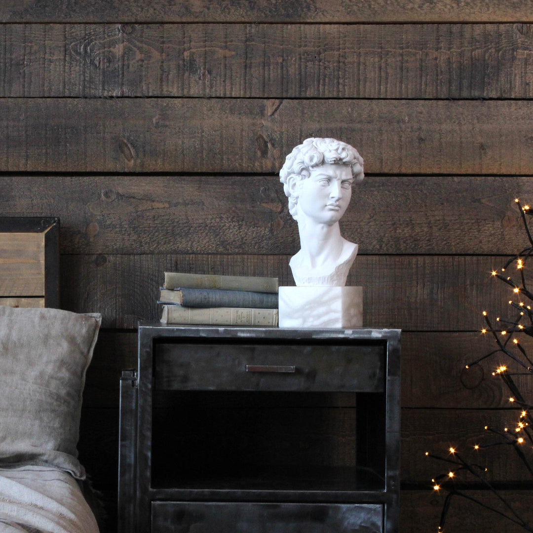 large david head statue